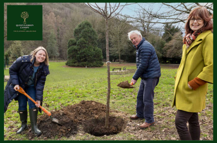 Council plants tree in every parish for Queen’s Jubilee - Lord ...